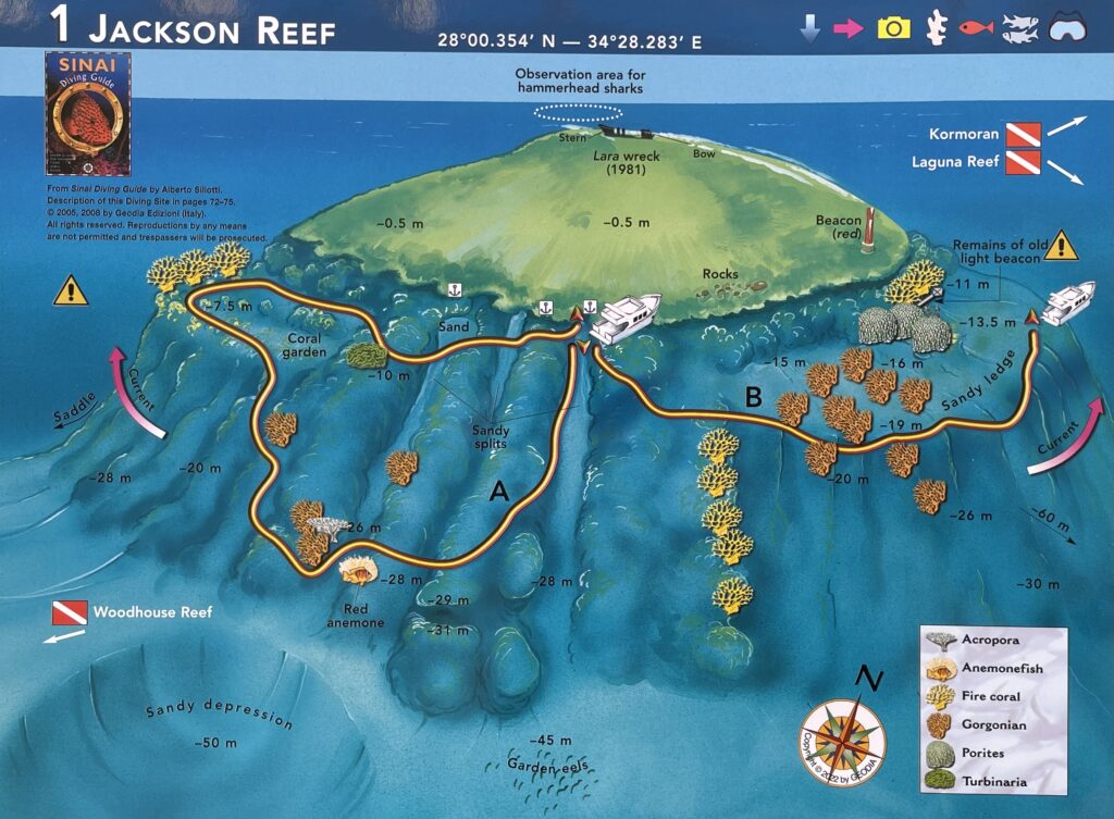 Sharm el sheikh dive sites - seamaxsharm