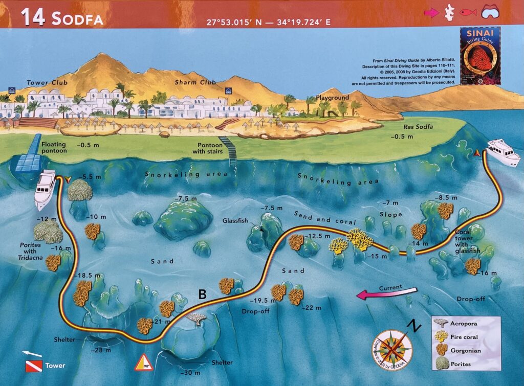 Sharm el sheikh dive sites - seamaxsharm
